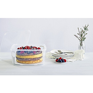 Decor Tellfresh Cake Lifter, 6L, Clear
