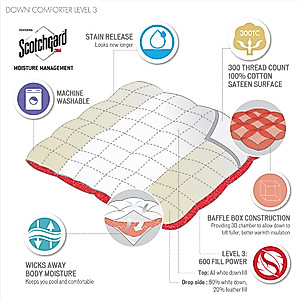 Sleep Philosophy True North 3M Scotchgard 300TC Quilted Down Comforter Cotton Sateen Cover Downproof, Feather Blend Duvet Insert, Modern Luxe All Season Bed Set King, Extra Warm