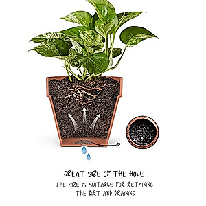 LE TAUCI Flower Pot Hole Mesh Pad, 2" Rounds Drainage Hole, Prevent Soil Loss and Anti-Slip, Bonsai Bottom Grid Mat, Gardening Gifts for Women, 50 Pack