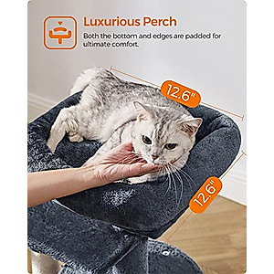 Feandrea Cat Tree, Small Cat Tower, Cat Condo, Kitten Activity Center with Scratching Post, Basket, Cave, Smoky Gray UPCT59G