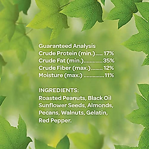 Kaytee Wild Bird Scorching Sunflower & Nut Cake 2.2 lbs.