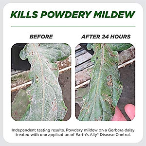 Earth's Ally Disease Control Concentrate for Plants | Fungicide Treatment for Powdery Mildew, Blight, Black Spot, Fungus - Use on Plant & Rose Diseases & More, 32oz Concentrate