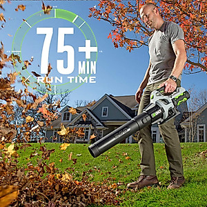 EGO Power+ ST1502LB 15-Inch Cordless String Trimmer & 530CFM Blower Combo Kit with 2.5Ah Battery and Charger Included, Black