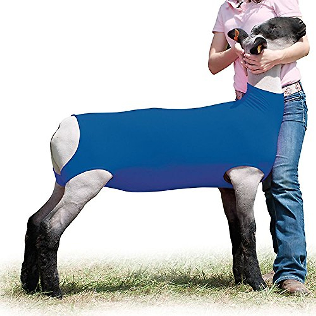 Weaver Leather Livestock Cotton Lamb Tube , Blue, Large