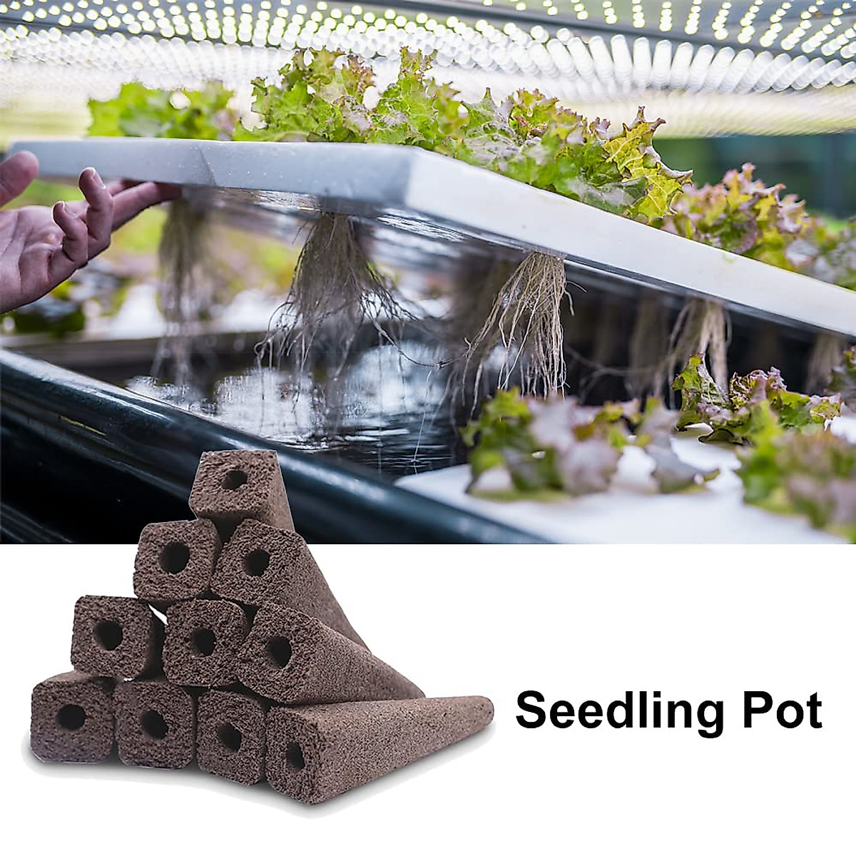 50 Pack Grow Sponges, Plant Seeding Starters Sponges Hydroponics Supplies, Plant Growing Plugs Sponges Seeding Pods for Planting, Hydroponics Pods for Hydroponic Indoor Garden(Brown)