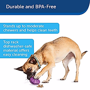 PetSafe Busy Buddy Twist 'n Treat Dispensing Dog Toy - Medium,Purple,Large Breeds