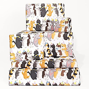 CENTRAL 23 - Fun Cat Wrapping Paper - 6 Sheets of Gift Wrap - For Men Women - Cat Conga - For Cat Owners - For Men Women - Recyclable