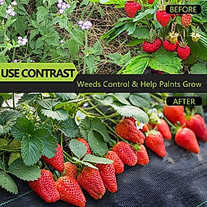 Garden Weed Barrier Landscape Fabric Heavy Duty, Woven Ground Cover Weed Barrier, Black Mulch for Landscaping Fabric, Weed Control Fabric Mat for Garden Beds, Landscaping, Driveway 5x50FT