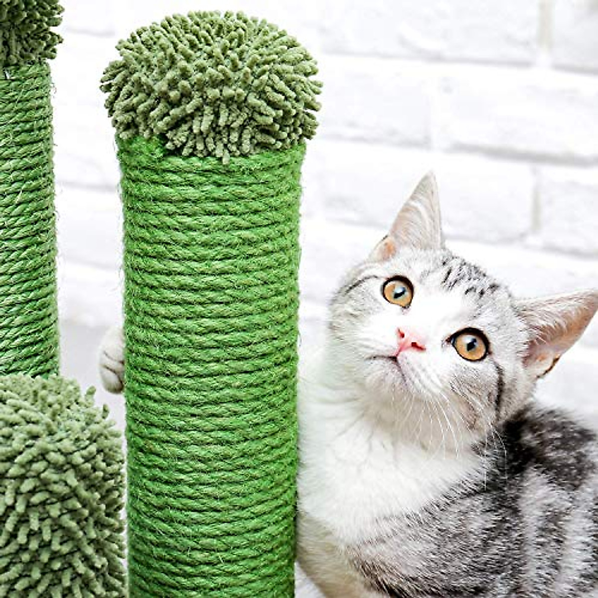 PAWZ Road Cat Tree 32 Inches Cactus Cat Tower Bundle with 23 Inches Cactus Cat Scratcher Featuring with 3 Scratching Poles