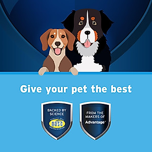 Pet Protect from The Makers of Advantage Omega 3 Supplement for M/L Dogs | 250 Capsules