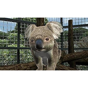 Animal Resort: Dobutsuen o Tsukurou!! [Japan Import]