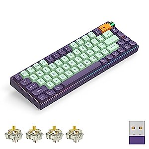 ROYALAXE R68 60% Wireless Mechanical Keyboard, Hot Swappable Custom Keyboard,Pre-lubed Gateron Pro Yellow Switches RGB Gaming Keyboard, 2.4GHz/Type-C/BT5.0 Mechanical Keyboard (Purple & Cyan)
