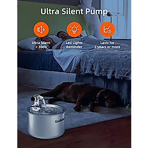 GoalMad Stainless Steel 67oz/2.0L Automatic Drinking Water Dispenser Cat Water Bowl Pet Water Fountain with LED Light & Filter for Cats, Dogs