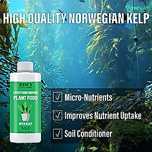 Ben's Home & Garden Everything Indoor Plant Food with Kelp | Liquid Concentrate Indoor Plant Fertilizer 3-3-3 All Purpose Plant Food for House Plants (8 Ounce)