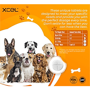 1000 mg Quarter Dosing Taurine Supplement with L Carnitine for Dogs, Supports Heart, Cardiovascular Health, Supports Eye Health