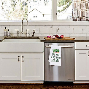 BDPWSS Plant Lover Gift Say Aloe to My Little Friends Dish Towel for Gardener Gift Succulent Plant Gift Crazy Plant Lady Gift (Say Aloe Friends TW)