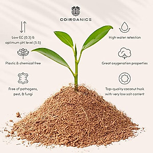 Bee Green Coco Coir Brick, Pure Coco Peat, All Natural Potting Soil for House Plants, Plant Soil Substitute for Peat Moss and Perlite, 1 Kilogram