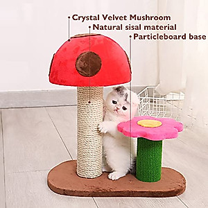 Sasapet Cat Scratching Post, Mushroom Claw Scratcher Small Cat Tree House Traning Interactive Toys for Indoor Kittens, Cats