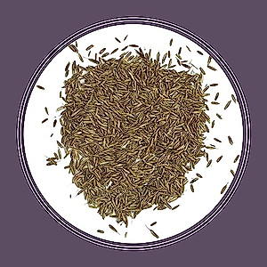 Pennington Annual Ryegrass Retail Bag to Overseed Warm Season Grasses, 25 lb