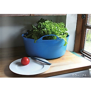 TubTrug SP15PST Shallow Pistacio Flex Tub, 15 Liter