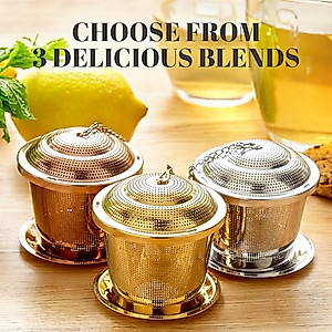 Loose Leaf Tea Infuser (Set of 2) with Tea Scoop and Drip Dray by Apace - Ultra Fine Stainless Steel Strainer & Steeper for a Superior Brewing Experience