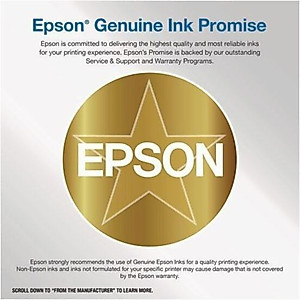 EPSON T320 Standard Capacity Magenta (T320P) for Select Epson PictureMate Printers ,Black