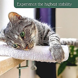 Pfotenolymp Premium Window Sill - Bed Board for Cats at The Window - Window Bed - Cat Bed for The Window Cat Perch - Bed - Bed for Cats