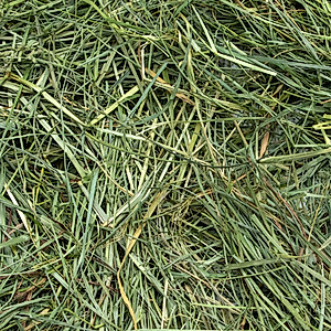 Rabbit Hole Hay - Ultra Premium Mountain Grass for Small Pets - 4 oz - Hand-Sorted Freshness