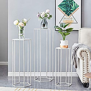 Mxfurhawa 27.55in Set of 3 Metal Plant Stand White Nesting Display End Table High Hexagon Rack Indoor Flower Holder Corner Planter Pot Rack Living Room & Patio Decor H19/23/27 Hexgon White