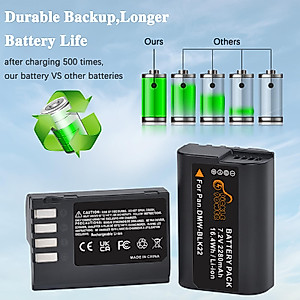 Pickle Power DMW-BLK22 Battery (2-Pack) for Panasonic Lumix DC-S5, DC-S5 II, DC-S5 IIX, GH5 II, GH6, S5II, S5IIX, S5M2, S5M2X, GH5M2, with Battery Storage Case