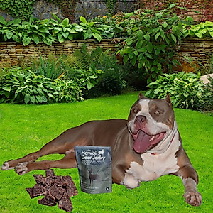 Deer Jerky Dog Treats - 100% Venison Meat, Grain-Free & All Natural | Healthy Chew Treats for Medium & Large Dogs | Made in USA - 8 Oz