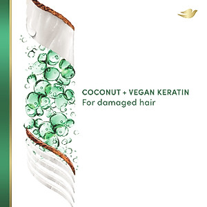 Dove RE+AL Bio-Mimetic Care Shampoo For Damaged Hair Repair Coconut + Vegan Keratin Sulfate-Free Coconut Shampoo 10oz