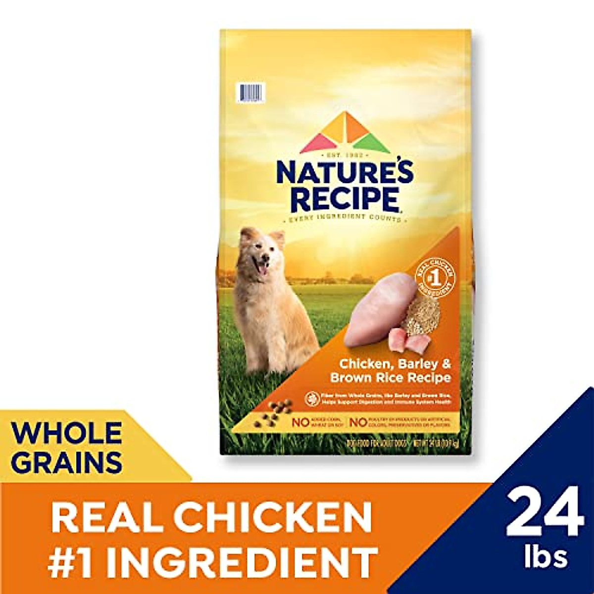 Nature′s Recipe Chicken, Barley & Brown Rice Recipe Dry Dog Food, 24 lb. Bag
