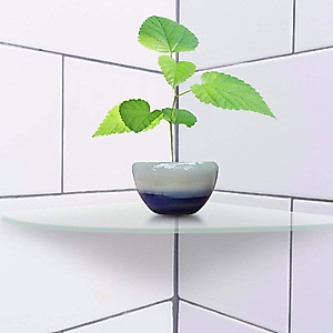 Floating Corner Shelf Wall-Mounted Storage Rack, 2 Tier Storage Display Shelf Organizer Corner for Bathroom, Bedroom, Living Room(Transparent)