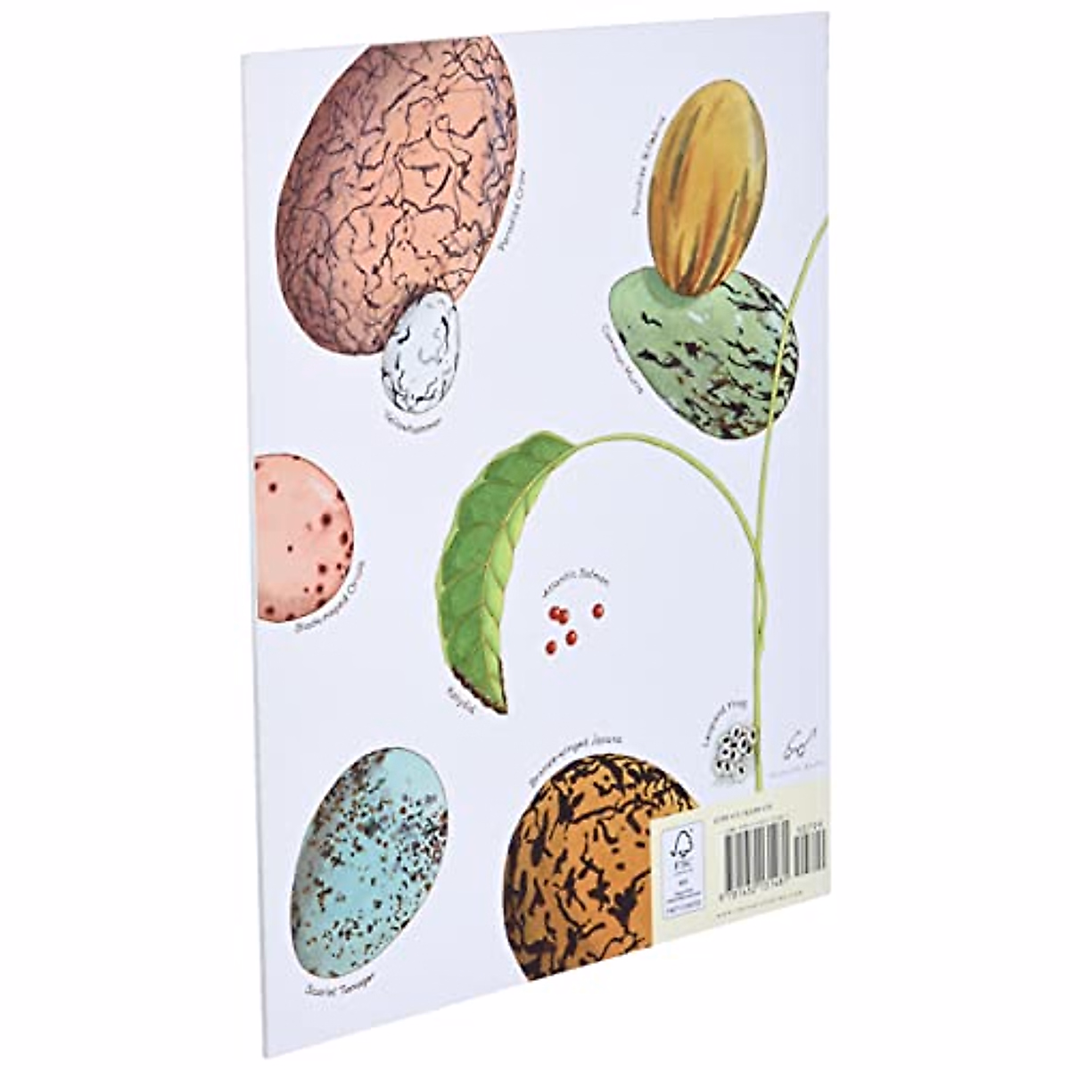 An Egg Is Quiet: (Picture Book, Kids Book about Eggs) (Sylvia Long)