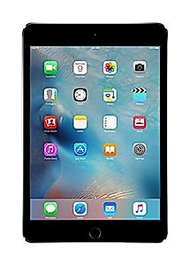 Apple iPad Mini 4 MK9G2LL/A 7.9-Inch Multi-Touch Retina Display, 64GB (Space Gray) (Renewed)