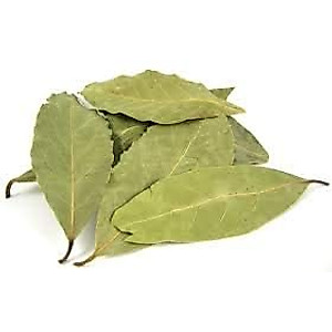 Regal Whole Bay Leaves Spice - Dried Bay Leaf Herb to Add Strong And Tangy Flavor to Your Dishes ( Laurel and Bay Leaves 1.5 oz Small Container for Cooking and Seasoning Needs)