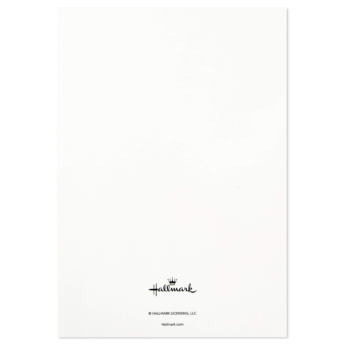 Hallmark Assorted Birthday Cards (Bright Icons, 12 Cards and Envelopes)