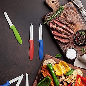 Paring Knife set of 6 PCS, 3.5 Inch Stainless Steel Fruit and Vegetable Knives,Comfortable Handle With Multi-Color Red/Green/Blue