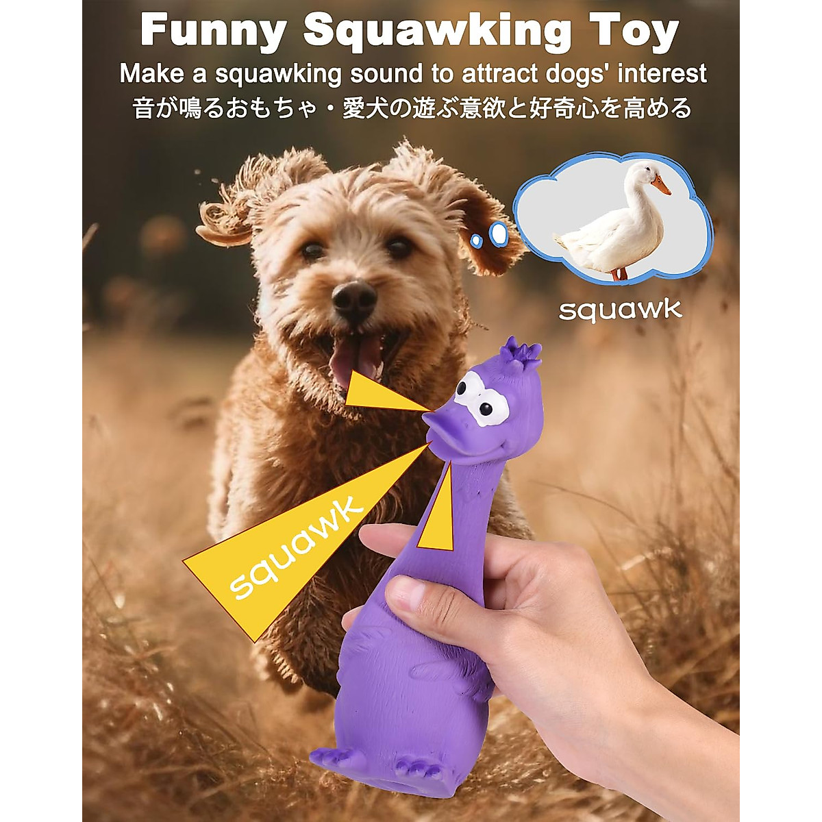 SCHITEC Squeaky Dog Toys, [2 Pack] Squawking Latex Toy with Interactive Squeaker, Squeak Rubber Duck Chicken for Medium Small Dogs