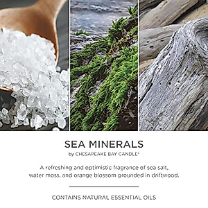 Chesapeake Bay Candle PT42074 Candle, Multi-Wick Ceramic, Sea Minerals, Home Décor