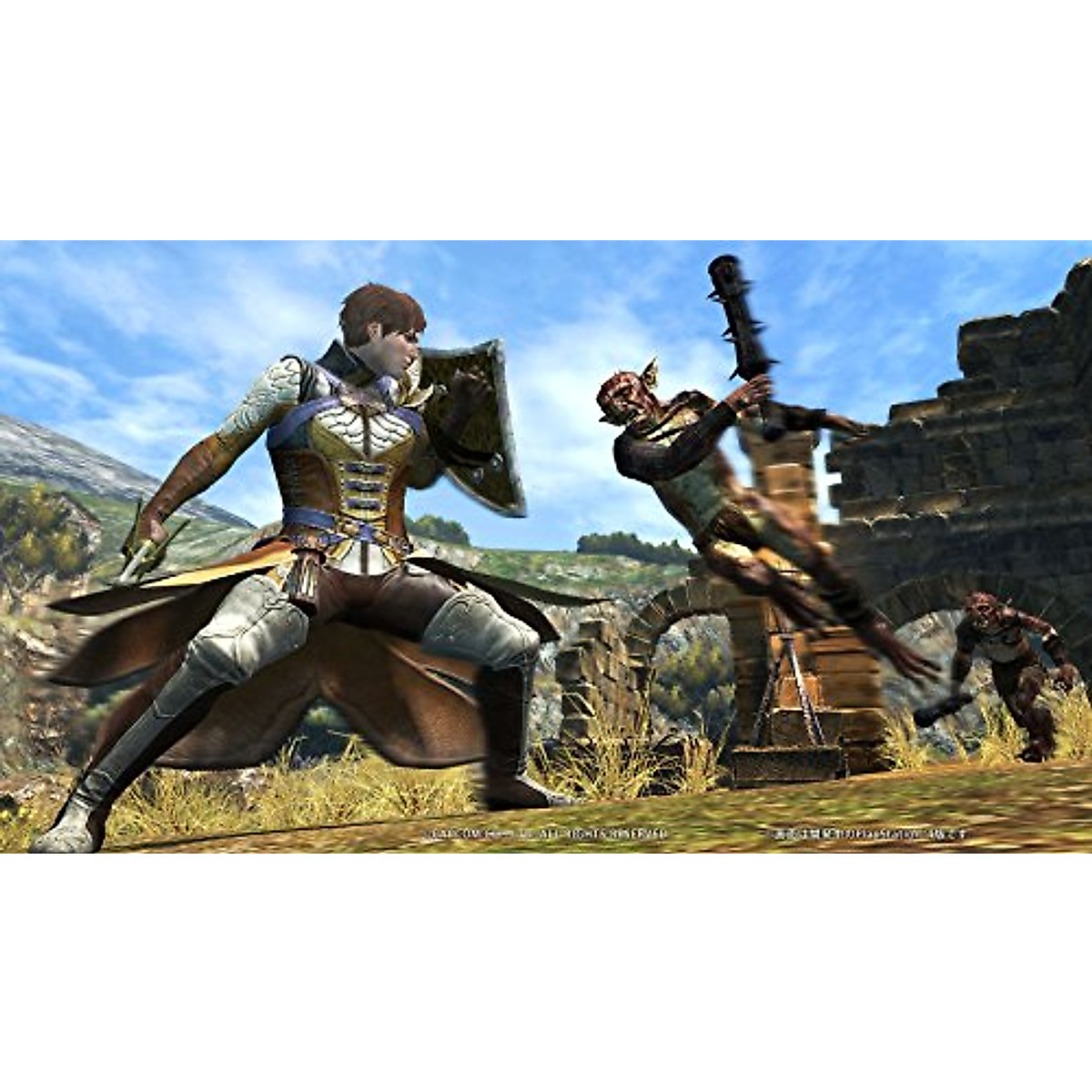 Dragons Dogma Online Limited Edition