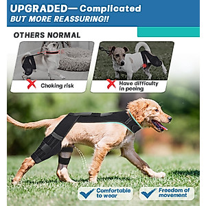 Petdream Dog Knee Brace with Vest, Support Dog Acl Brace for Hind Leg Torn, Adjustable Dog Rear Leg Braces for Cruciate Ligament Injury, Joint Pain Relief and Arthritis (Double, 2)