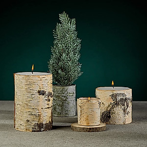 Zodax | Light Birchwood | Pillar Candle | Fragrance Free | 4 in x 6 in