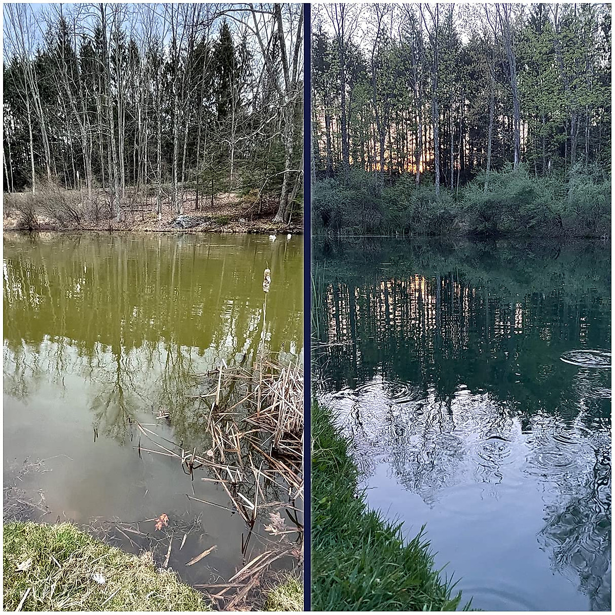 Natural Waterscapes Pond Dye - Midnight Blue Super Concentrate- 1 Quart Treats 1 Acre up to 6 Feet Deep, Dark Natural Looking Blue Pond Dye- Mix of Bright Blue Dye and Black Dye (1)