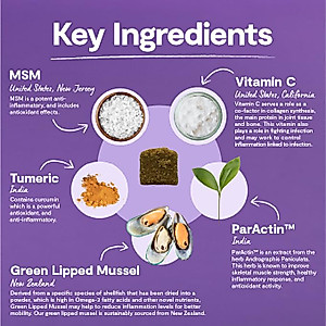 Open Farm Hip & Joint Chews, Dog Supplement, Dog Vitamins, Supports Joint Health and Mobility Using Traceable and Vet-Approved Ingredients, 12.7 oz, 90 Count