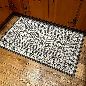 Pilgrim Home and Hearth 19653-1 Area Rugs, 46" x 28", Beautiful