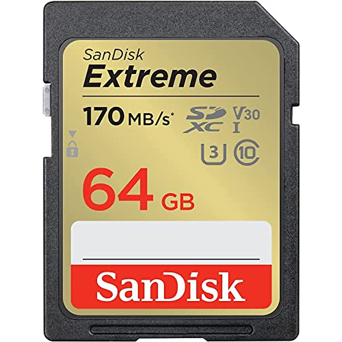 SanDisk 64GB Extreme Memory Card works with Canon EOS Rebel SL2, T6, T6i, T5i EF-S, EOS 80D, Powershot Camera SDXC 4K V30 UHS-I (SDSDXVE-064G-GNCIN) with Everything But Stromboli Combo Reader