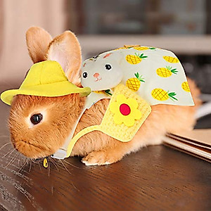 2 Sets Small Animal Harness Vest and Leash Set Small Pet Chest Harness Vest Walking Vest Harness for Rabbit Ferret Teacup Poodle Kitten (Pineapple and Plaid)