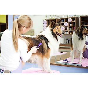 Hertzko Pin Brush for Dogs and Cats with Long or Short Hair – Great for Detangling and Removing Loose Undercoat or Shed Fur – Ideal for Everyday Brushing (Wide Brush)